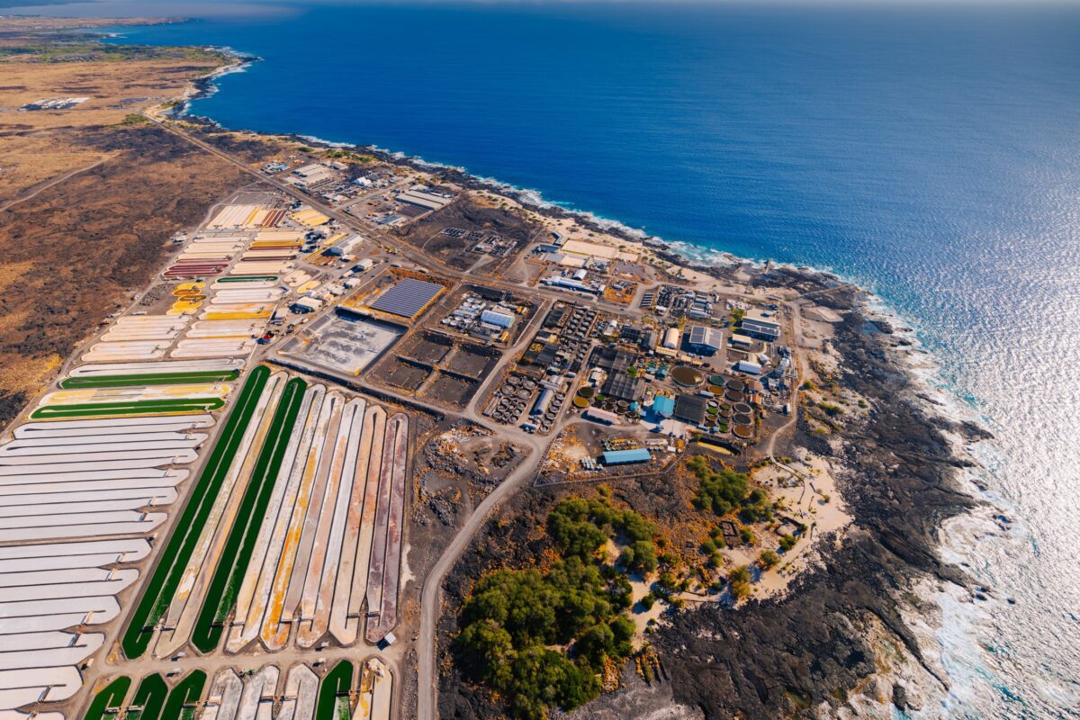 Captura advances Direct Ocean Capture commercialization efforts in Los ...